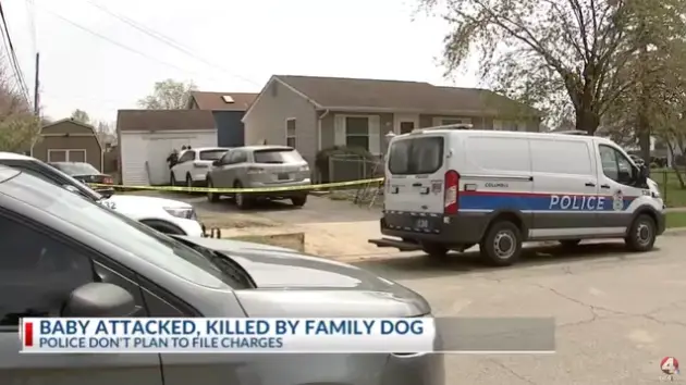 Mother speaks out after 7-month-old baby is mauled to death by family ...