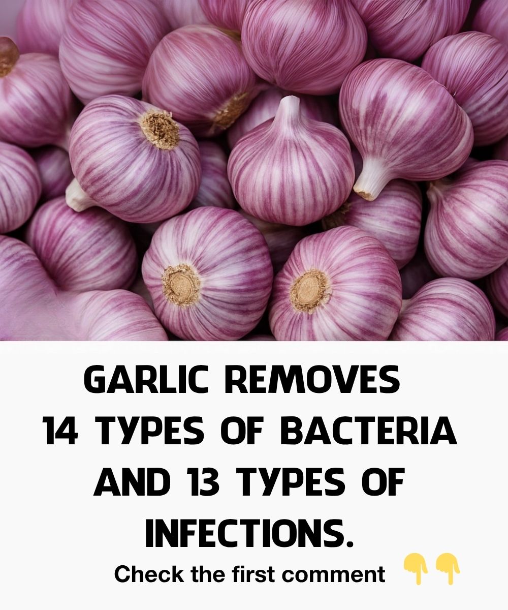 Garlic and Cloves: Two Treasures for Your Health | BuzzRealm